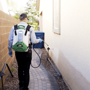 Residential - Evolve Pest Control